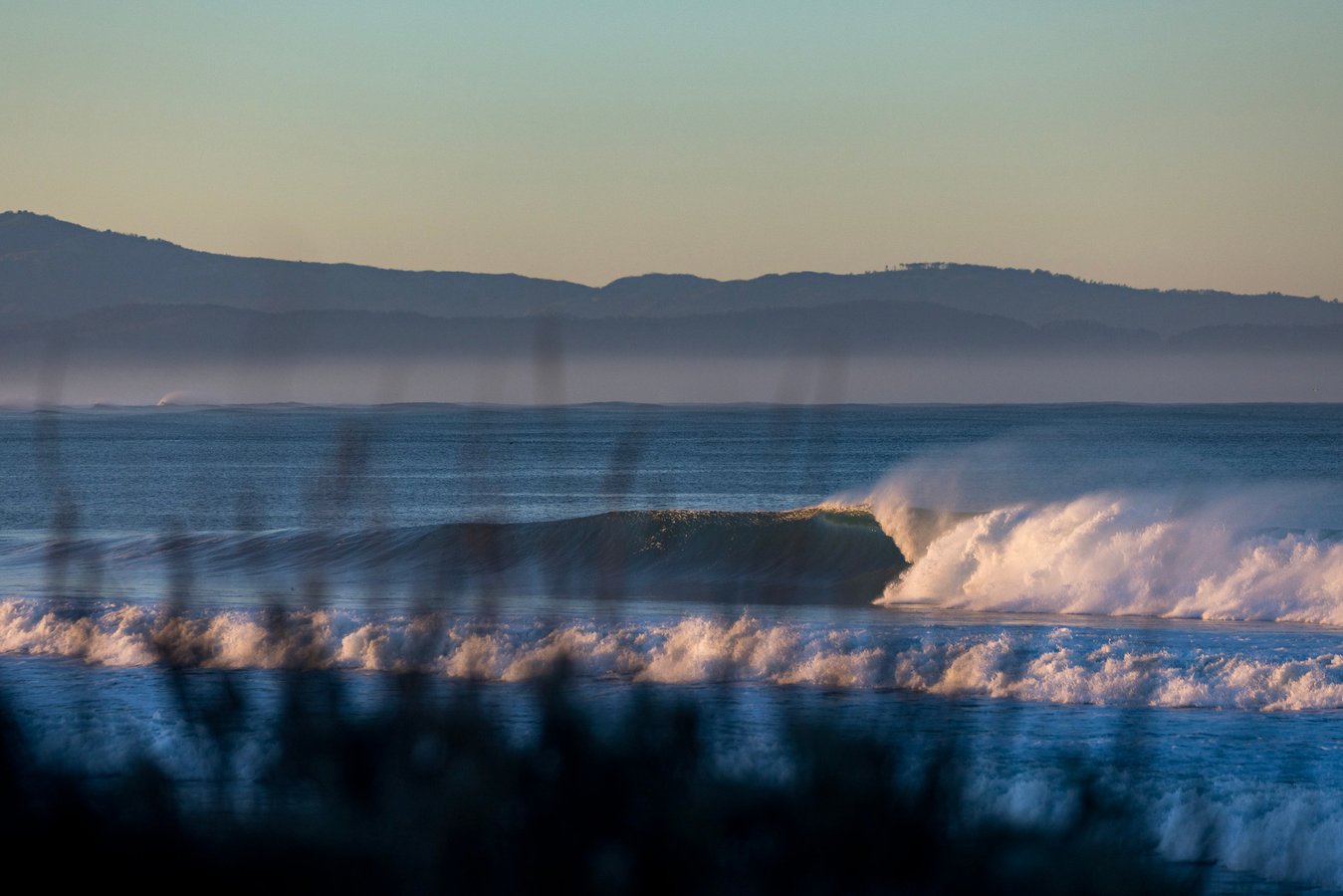Moss Landing Surf Guide - Surfline