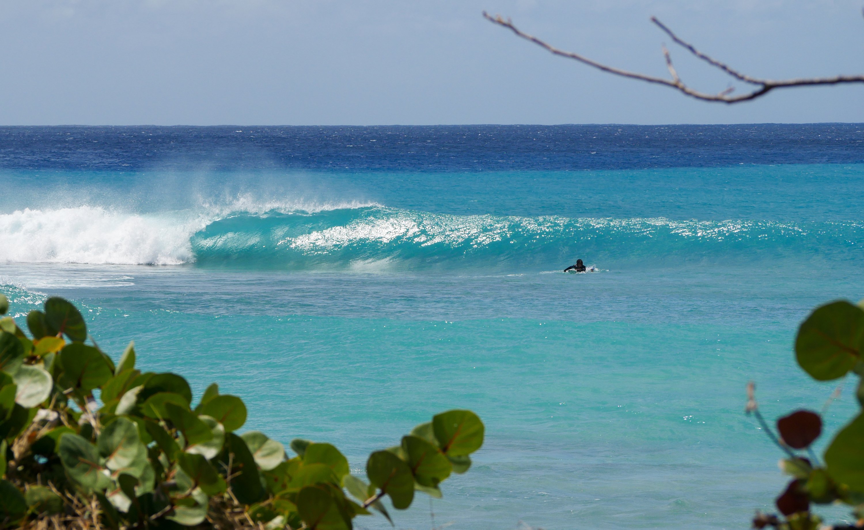 Tropicana Surf Guide - Surfline